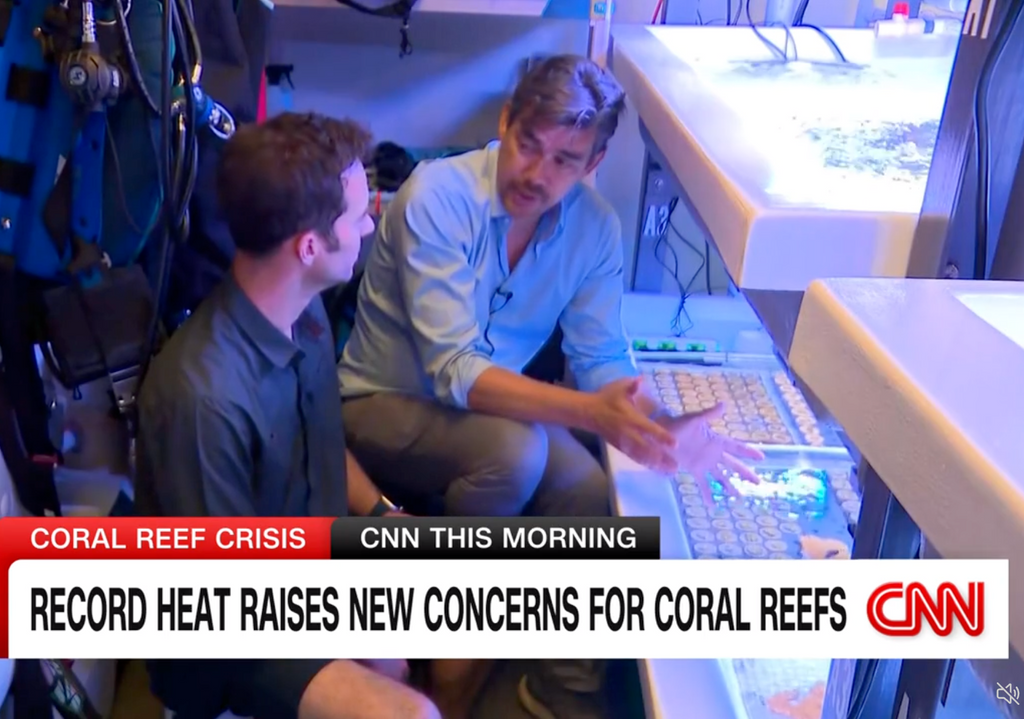 Sudden Marine Heat Wave threatening one of the most severe coral bleac ...